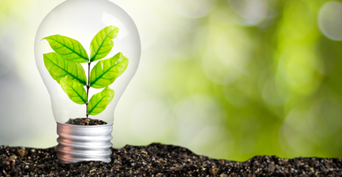 Ecology: master and respect the environment for sustainable management