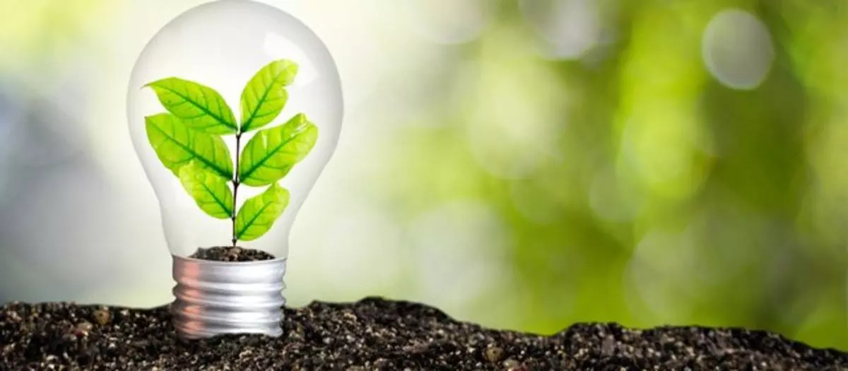 Ecology: master and respect the environment for sustainable management